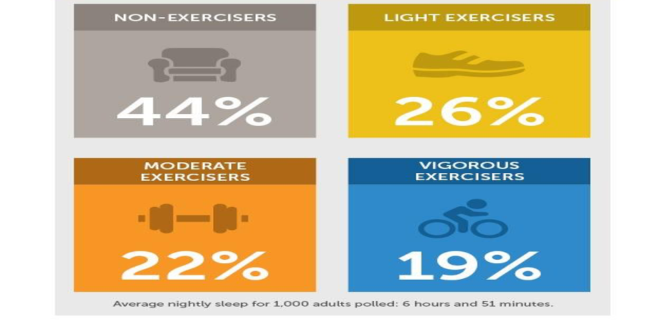 How a Healthy Exercise Routine Plays an Important Role in Your Life ...